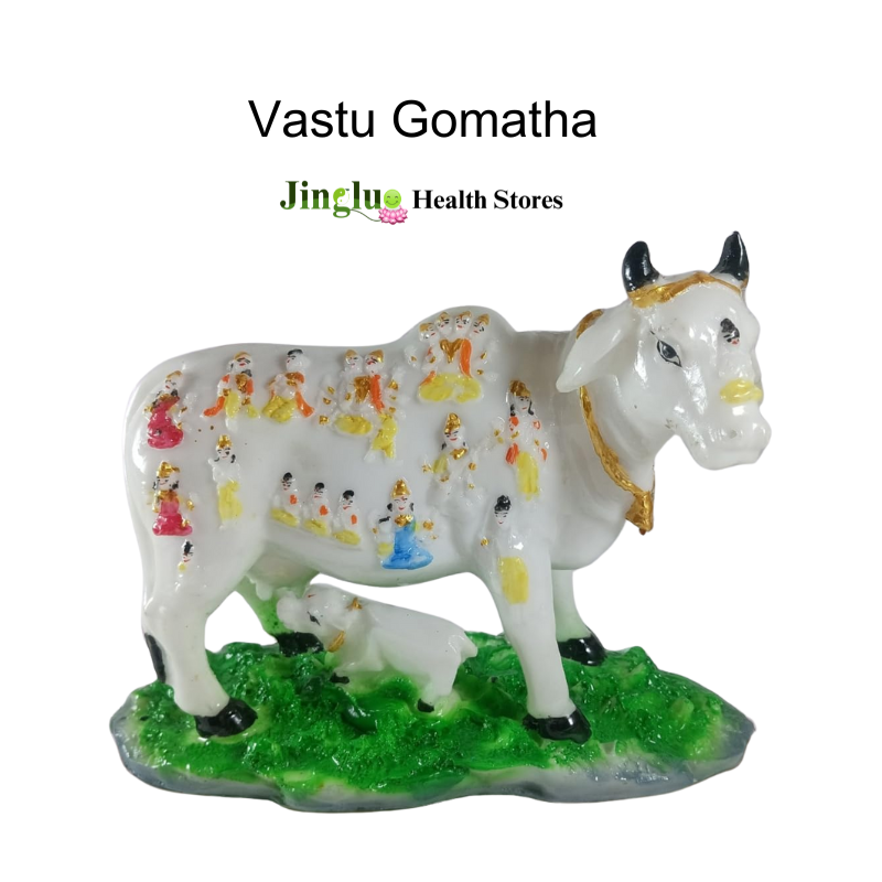 Vastu Gomatha – Jingluo Health Stores